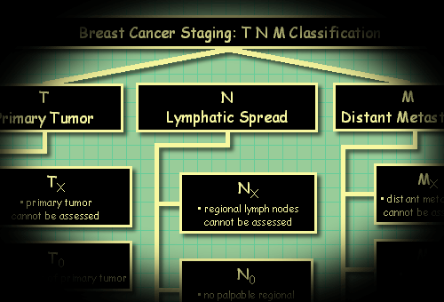 Breast Cancer Diagnosis