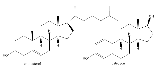 My Cholesterol, Your Estrogen
